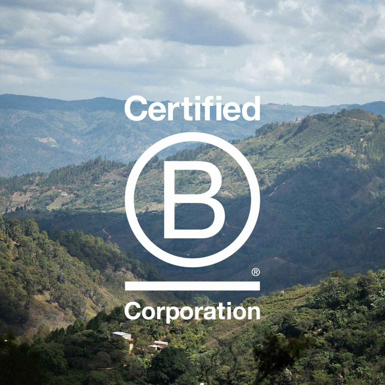 About Us | Clifton Coffee Roasters | Speciality Coffee, Roasted Daily ...